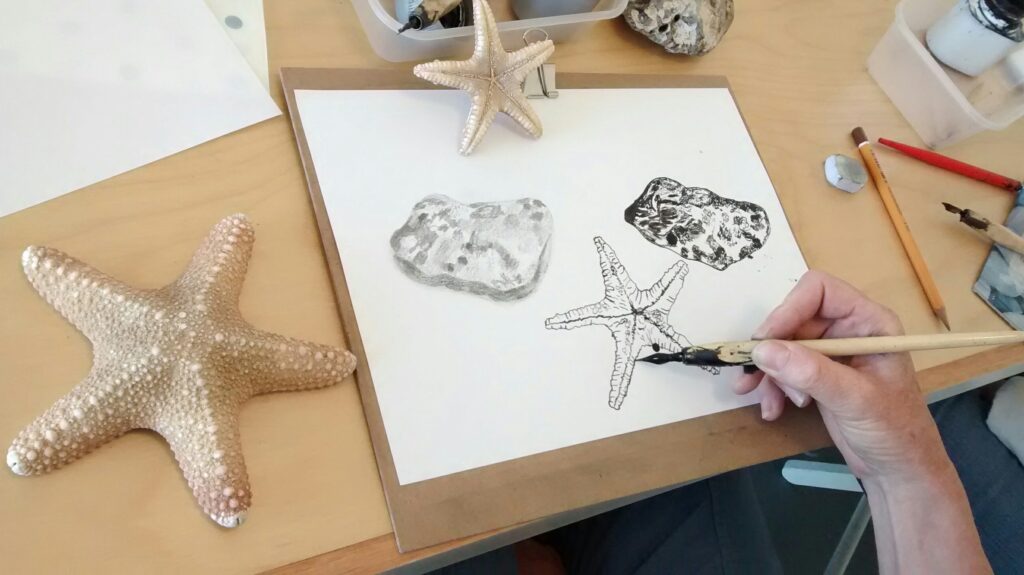 Introduction to Ink Drawing – Montague Gallery